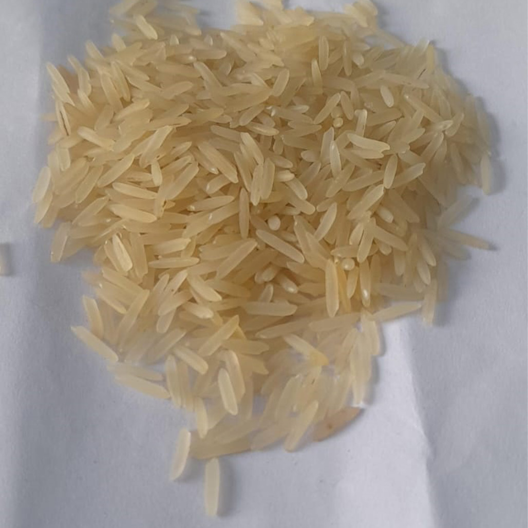 Steam Magic Basmati (For Biryani) – Ameerandsons